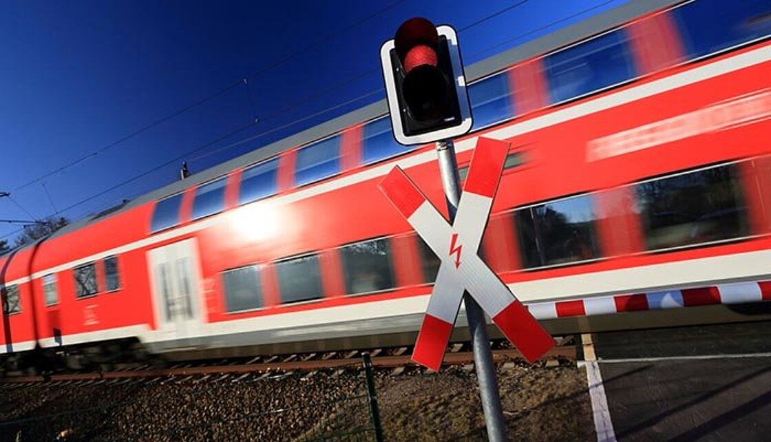 LifeGuard® Protection Panels